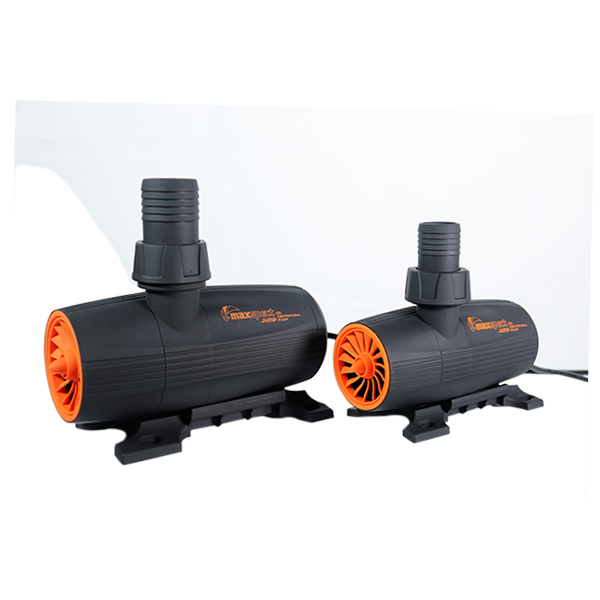Maxspect Jump 6K return pump – The Aqua Culture