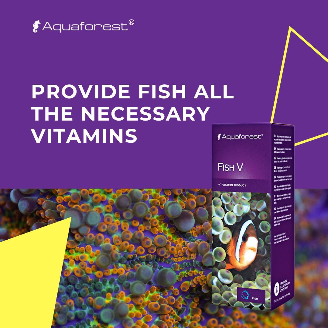 Fish V – The Aqua Culture